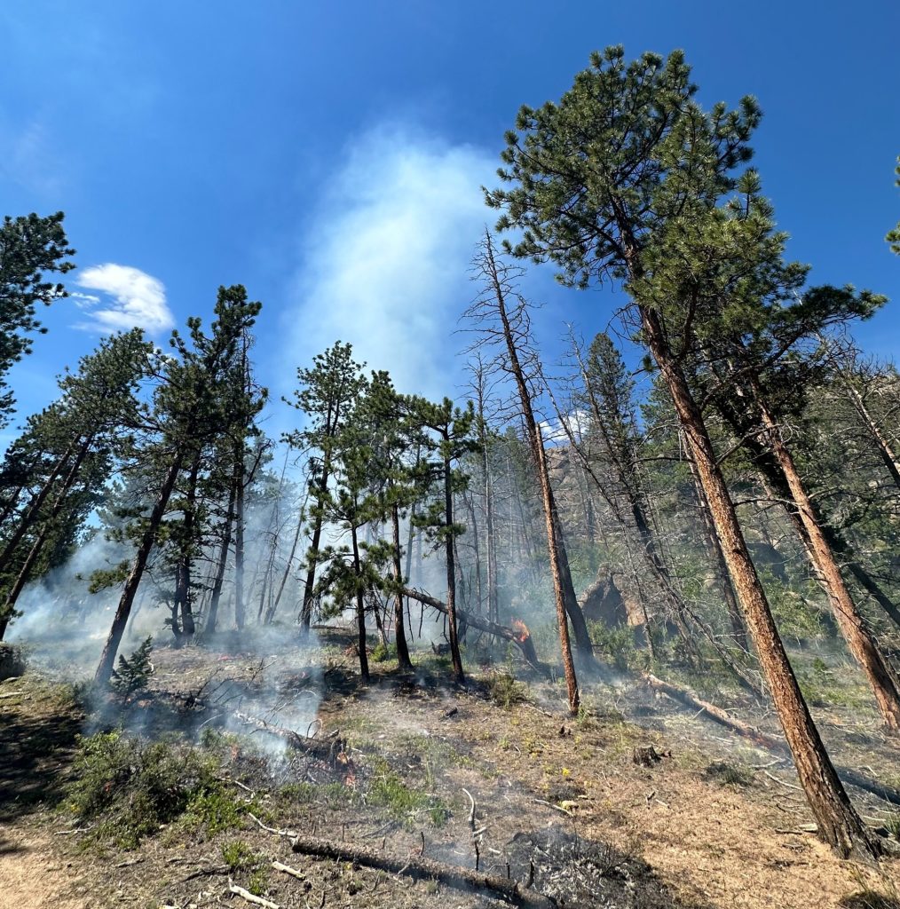 USFS Publishes New Prescribed Fire Map | Northern Colorado Fireshed ...